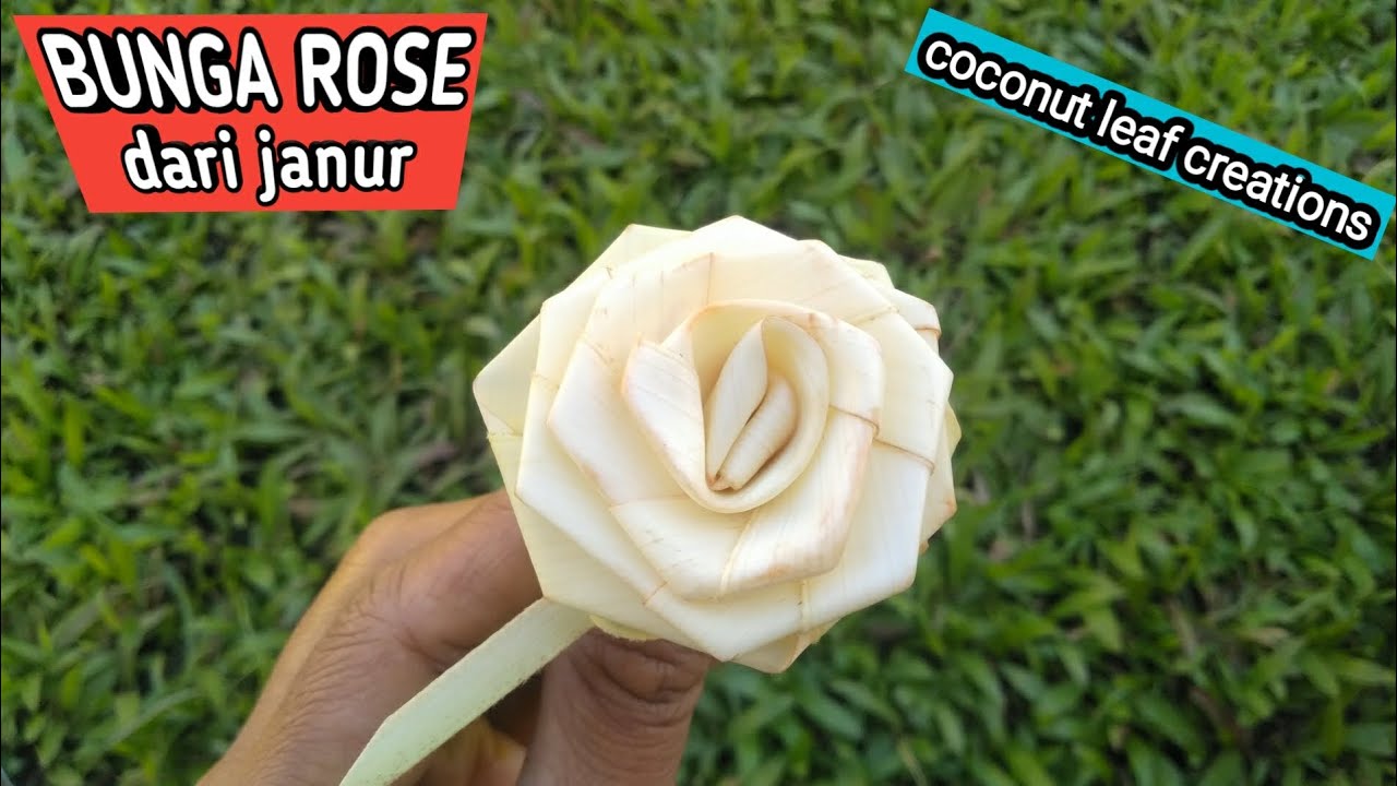 Cara membuat bunga rose dari janur daun kelapa || roses from coconut ...