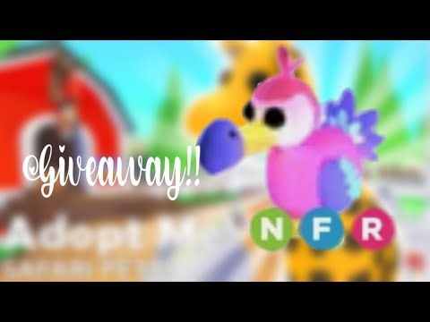 Roblox Adopt Me Neon Dodo Giveaway!! - YouTube