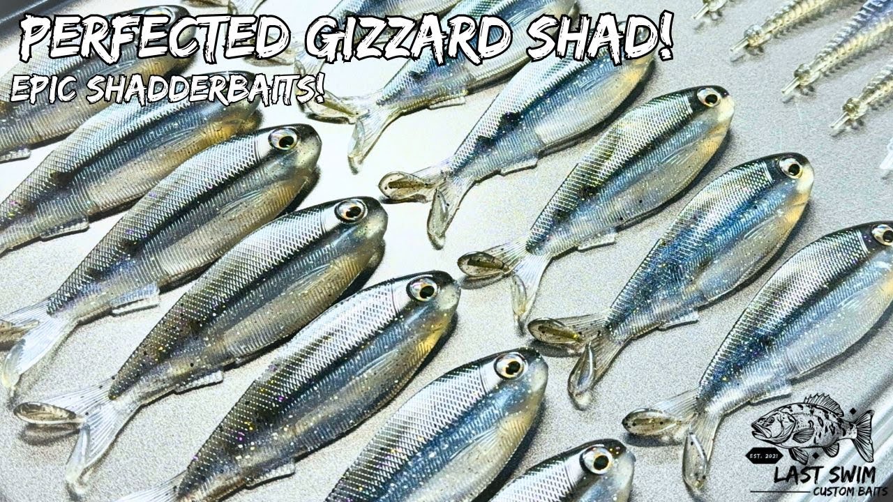 Perfected Gizzard Shad Shadderbaits! | Gizzard Shad Breakdown! - YouTube