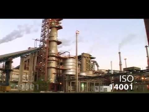 International Paper - Vídeo Institucional - YouTube