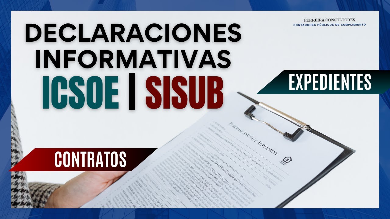 Taller Declaraciones Informativas ICSOE y SISUB | Expedientes y ...