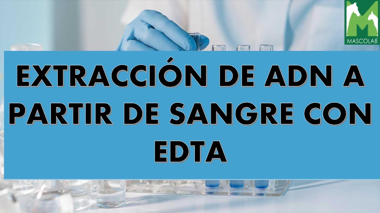 Extracción de ADN a partir de sangre con EDTA / Guía para emitir resultados PCR como DX in vitro ...