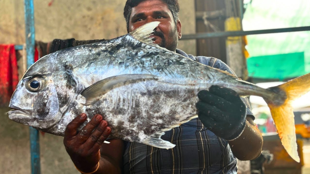 DIAMOND TREVALLY FISH CUTTING BY SELVAM | HD VIDEO | IN KASIMEDU ...