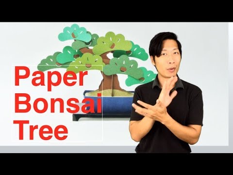 Japanese Paper Bonsai Tree - YouTube