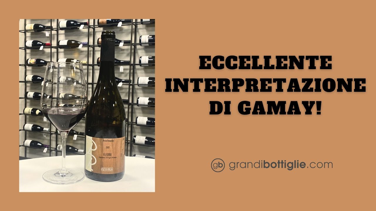 FLEURIE 2021 PETIT ROY: ECCELLENTE INTERPRETAZIONE DI GAMAY! - YouTube
