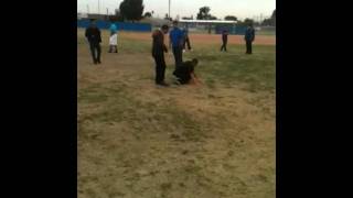 Compton High School Fights