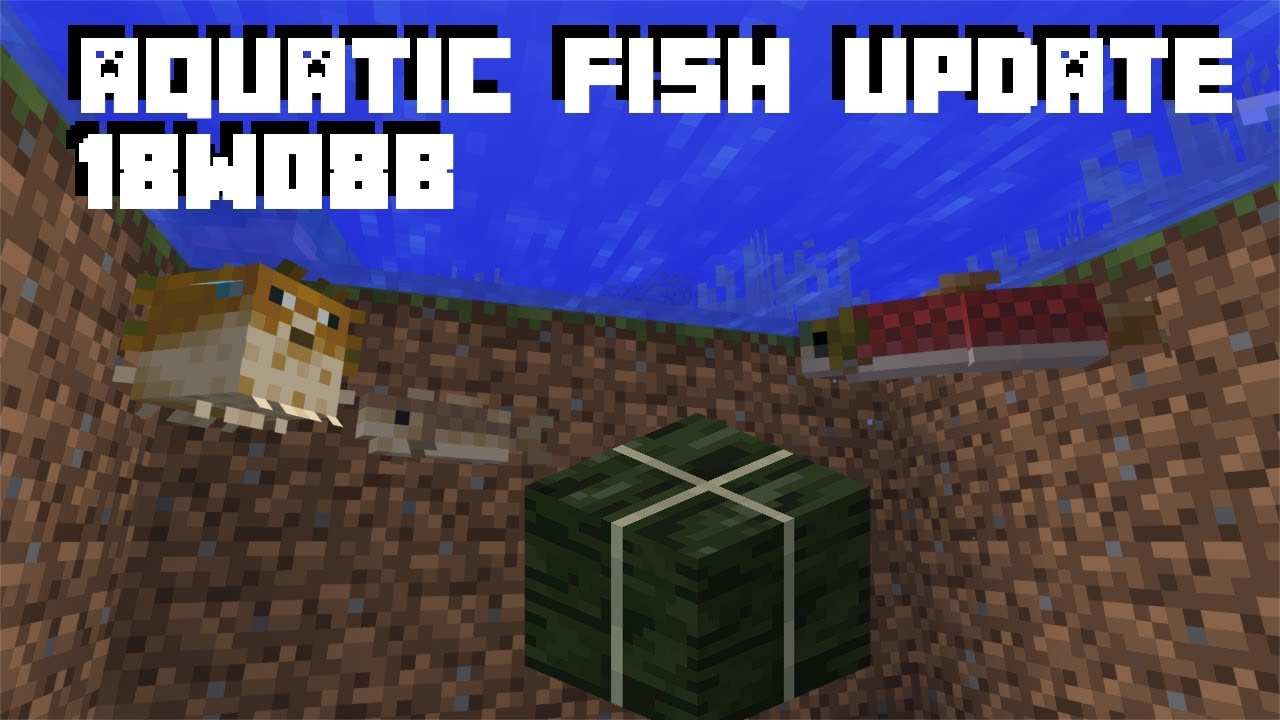 Aquatic Update - 1.13 Minecraft Fish Update - Java Snapshot 18W08B - - YouTube
