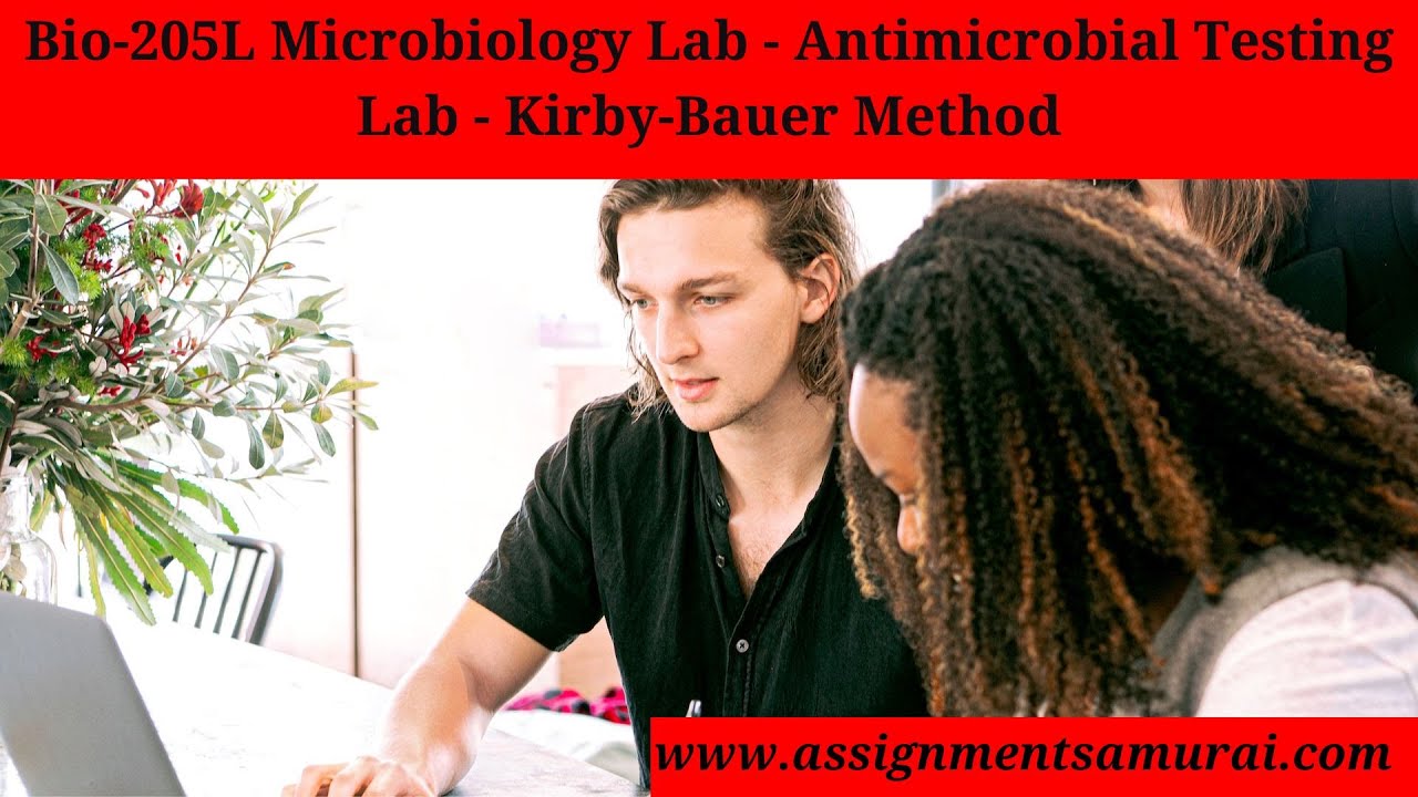 Bio-205L Microbiology Lab - Antimicrobial Testing Lab - Kirby-Bauer ...