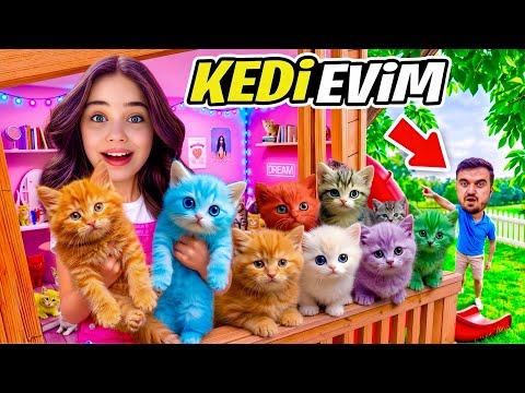 ODAMI KEDİ EVİ YAPTIM !! ELİF SİNEM !!