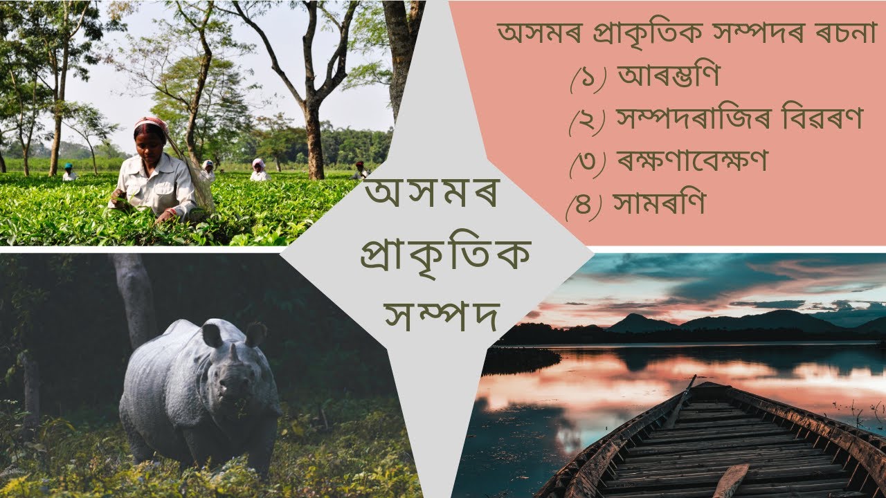 অসমৰ প্ৰাকৃতিক সম্পদ (অসমীয়া ৰচনা)। Assamese essay for class 9,10,and ...
