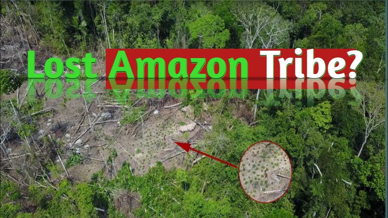Lost Tribe of the Amazon Jungle Discovered–They've Never Seen Modern ...