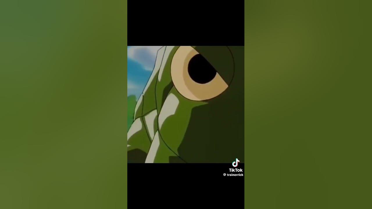 Metapod vs metapod - YouTube