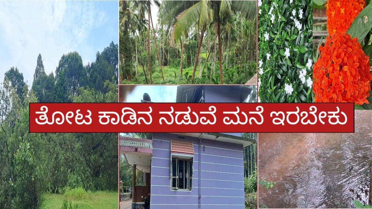 House at Greenary_Thota mattu kaadina madya mane_Kannada_2024 ...