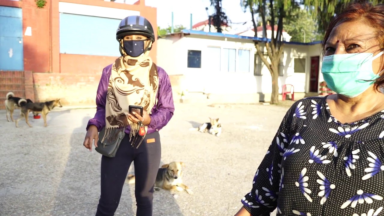 To the rescue of street dogs - YouTube