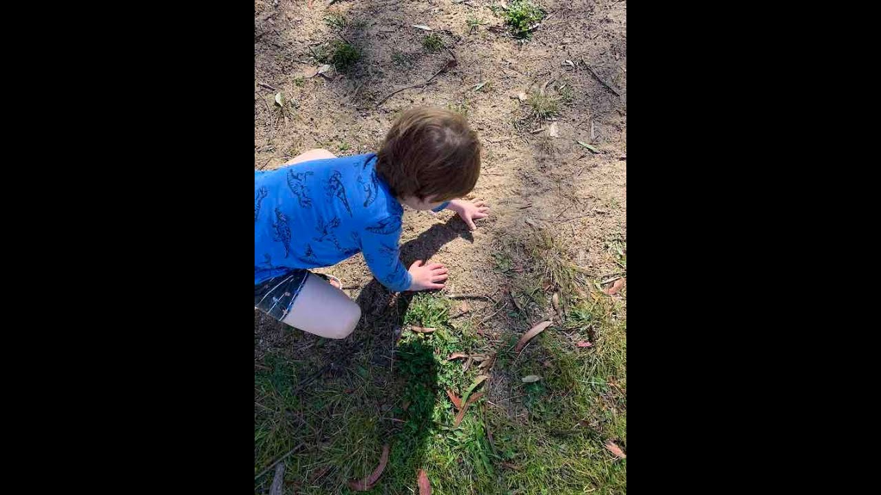 Crystal & Diamond Mining - Mummy to Twins Plus One - YouTube