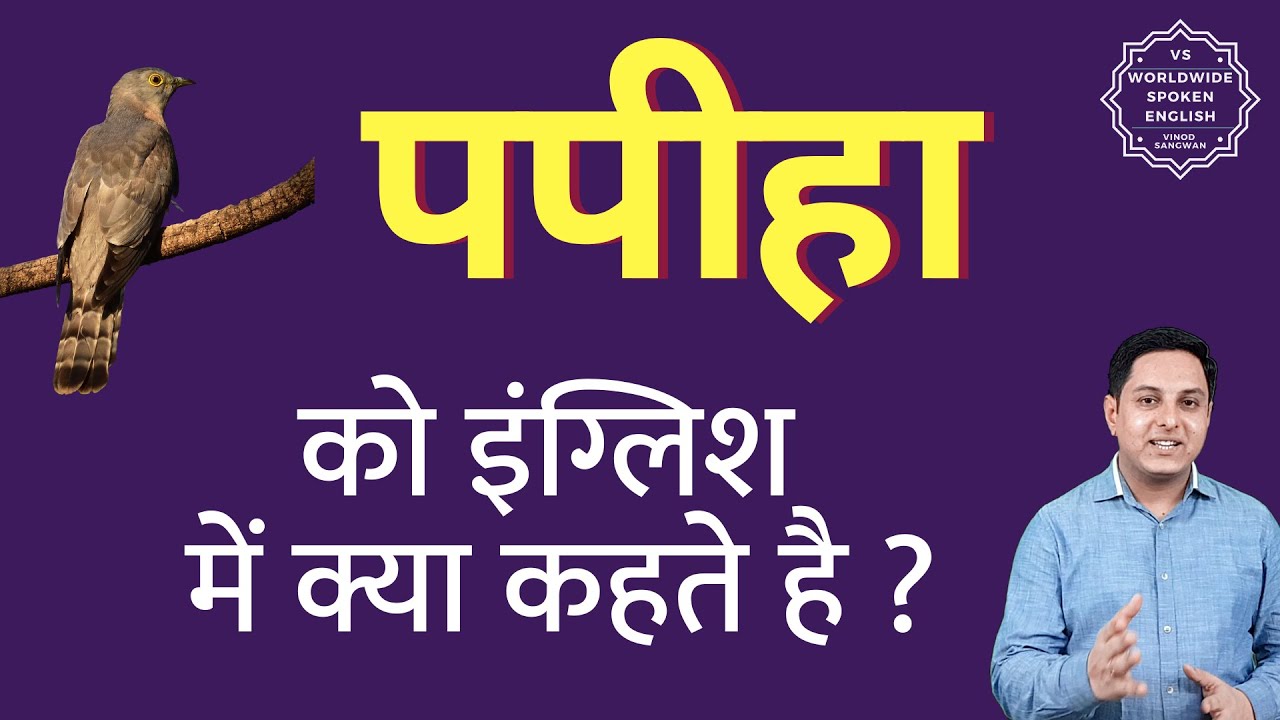 पपीहा को इंग्लिश में क्या कहते हैं | papiha ki English | papiha ki ...