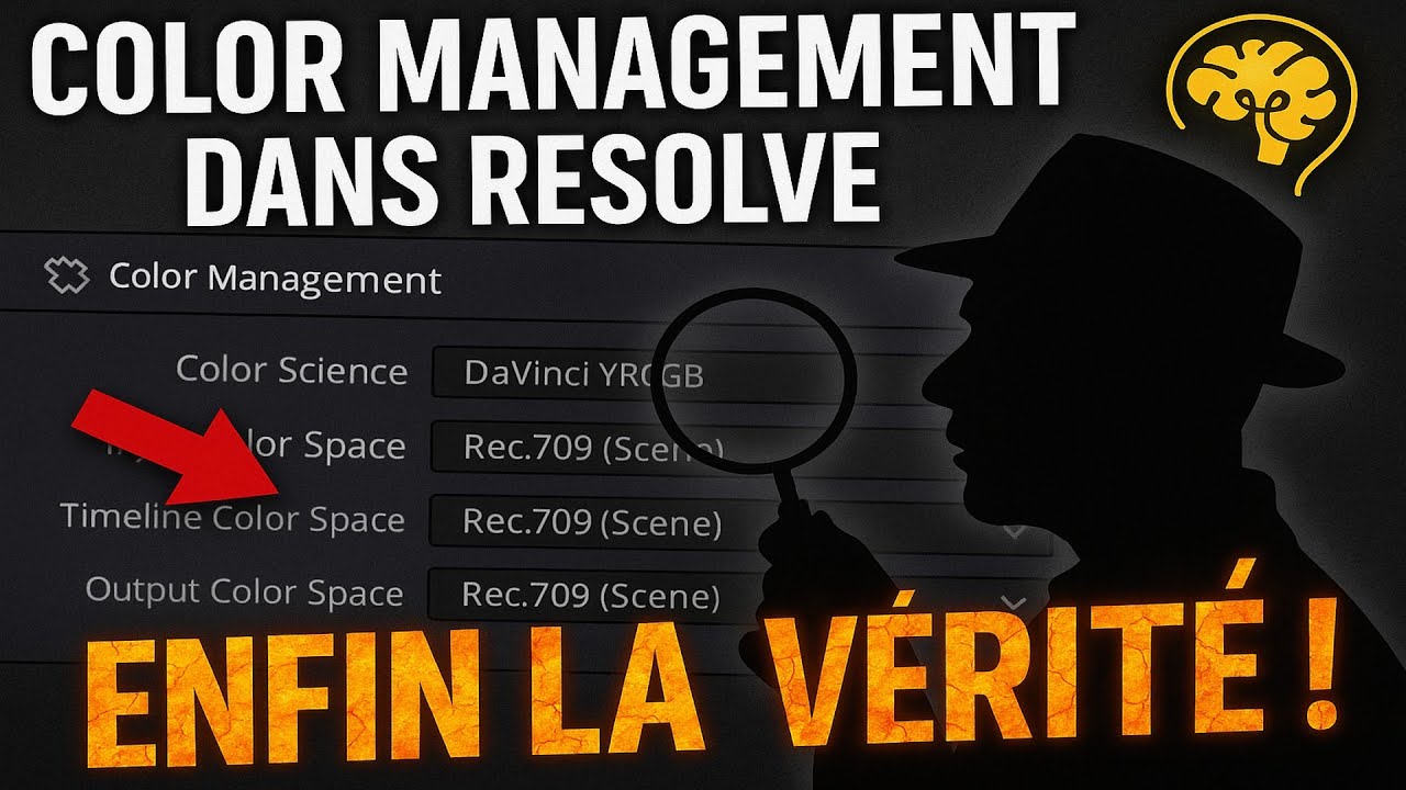 COLOR MANAGEMENT : DAVINCI RESOLVE : ACES vs DWG ? + Une Lut (LMT ...