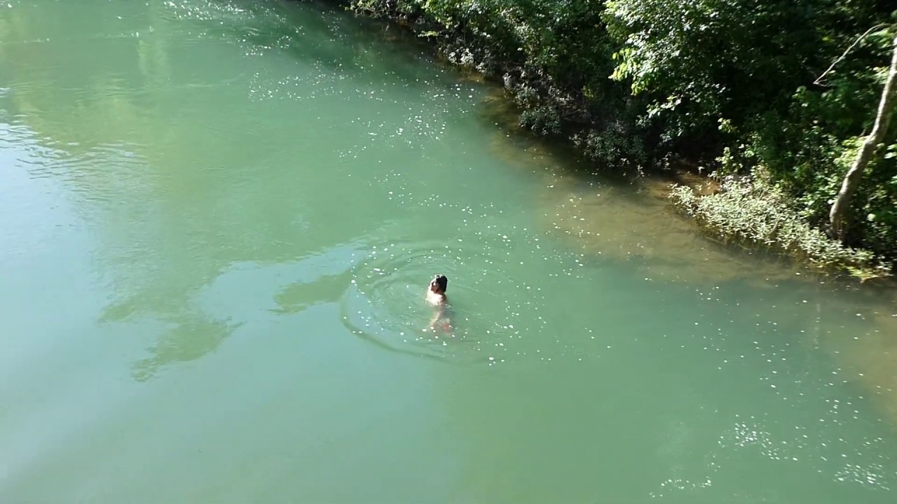 Save The Jenkins Bridge - YouTube