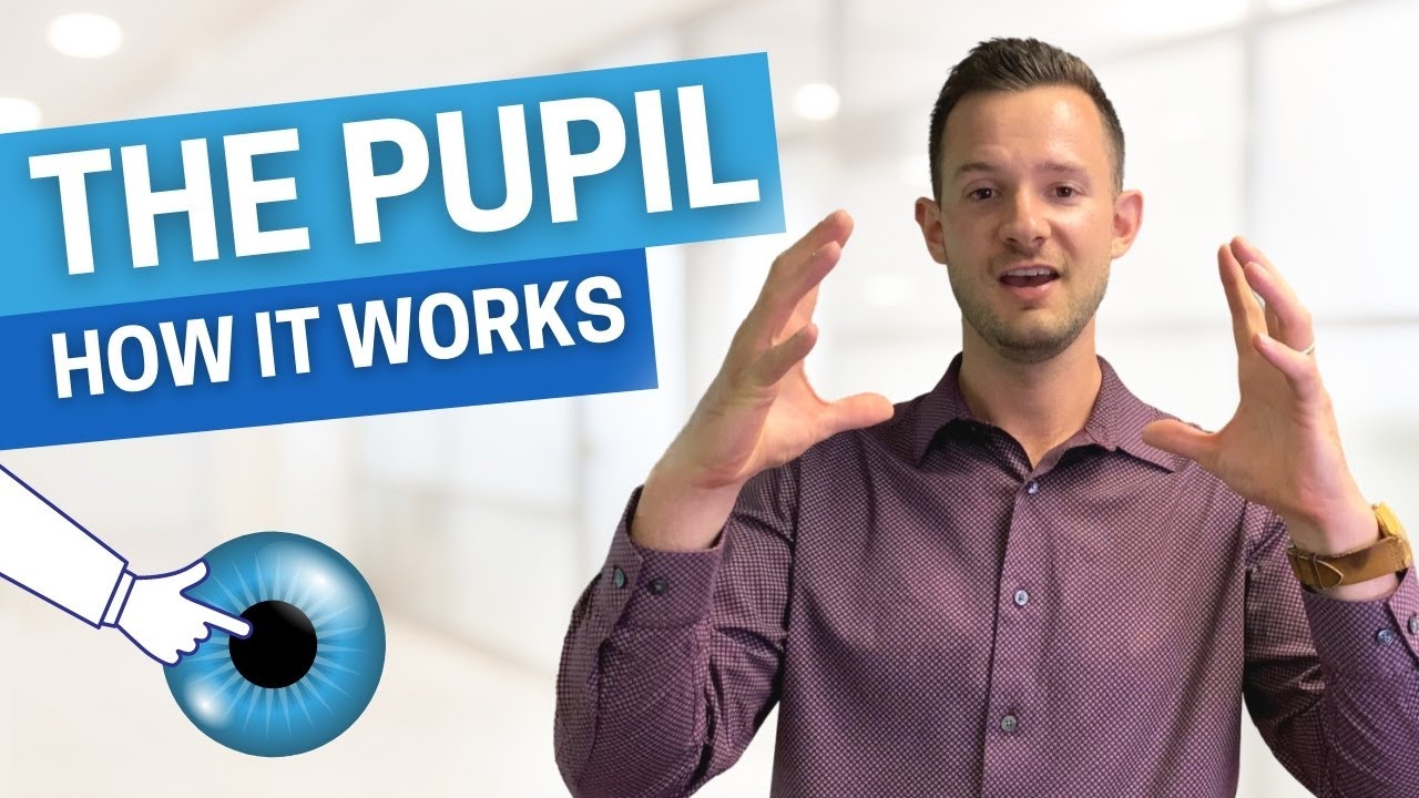 HOW IT WORKS - The Pupil - YouTube