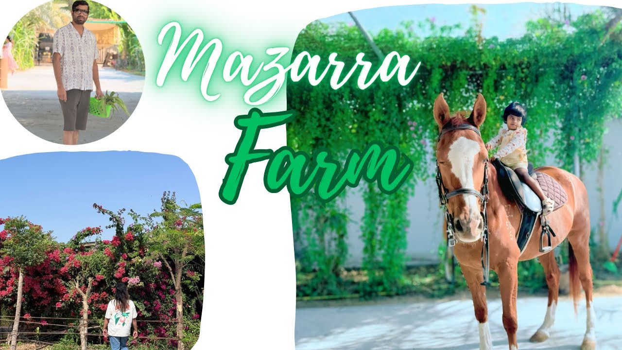 Mazarra farm Abudhabi#farm# - YouTube