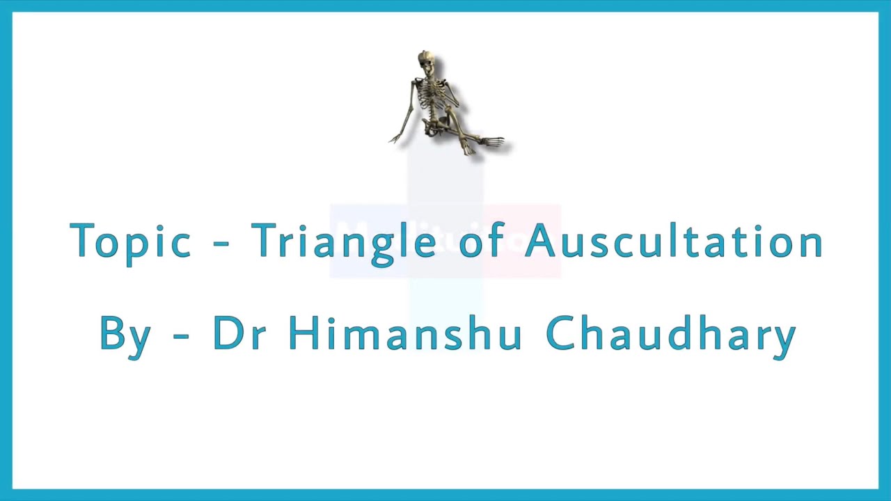 Triangle of Auscultation - YouTube