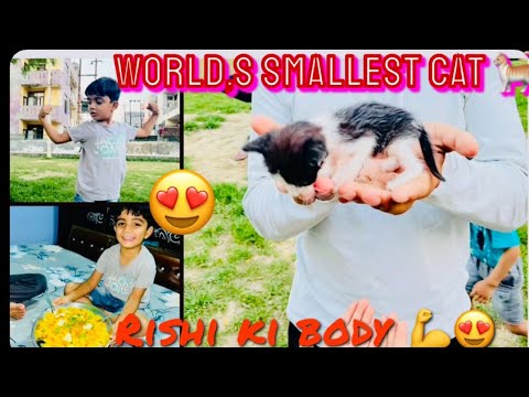 World’s smallest cat😼/rishi ki body 💪 rishi ne banai macroni 🍲 ...