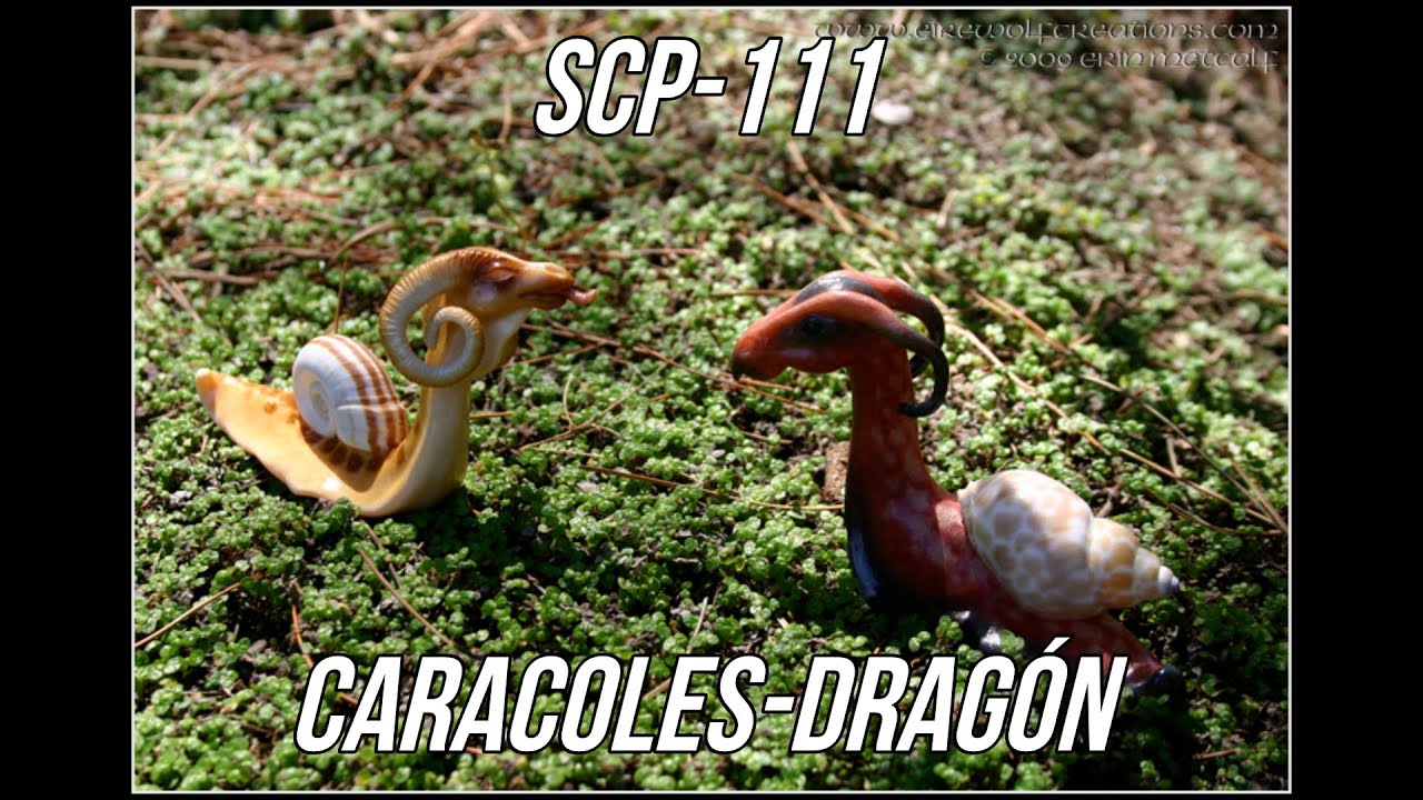 SCP-111 - Caracoles Dragón - YouTube