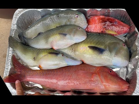 Bottom Fishing in Maui, Hawaii. NABETA MOBETA - YouTube