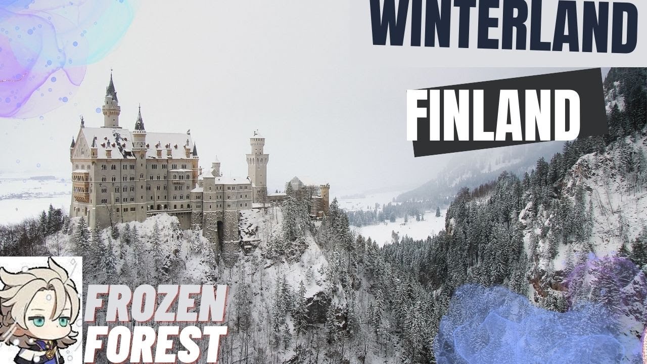 The Real Winterland, Frozen Forest - YouTube