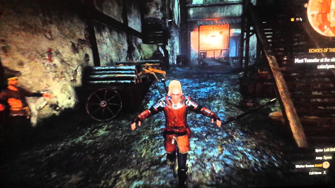 Witcher 3: Wild Hunt Graphics Glitch - YouTube