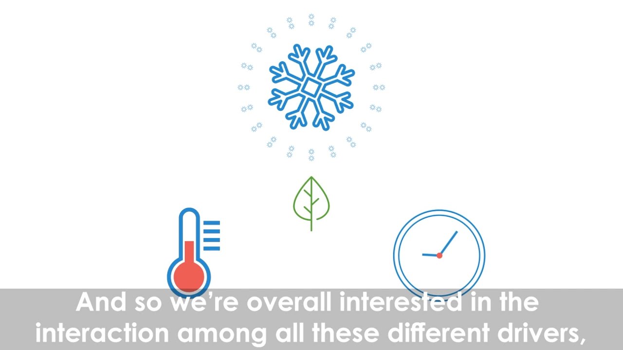 Spring Leaf-Out: Approach - YouTube