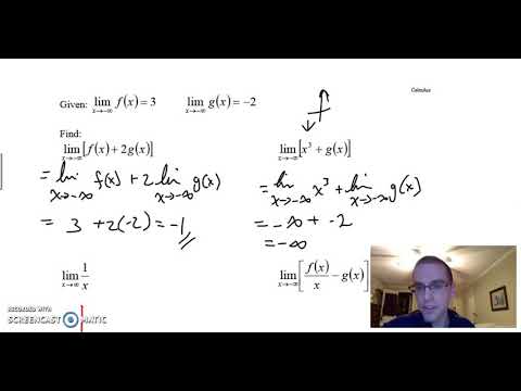 1.3 Limits with End Behavior - YouTube