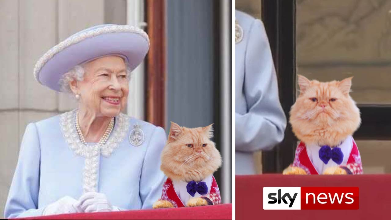 Watch what Queen Elizabeth's Cat did in the last appearance of the ...
