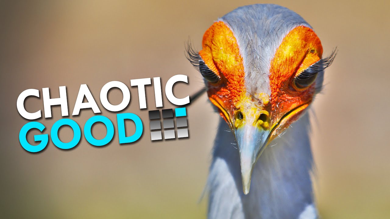 The Birds Of Prey Alignment Chart - YouTube