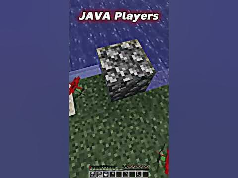 Bedrock Players VS JAVA Players💪 - YouTube