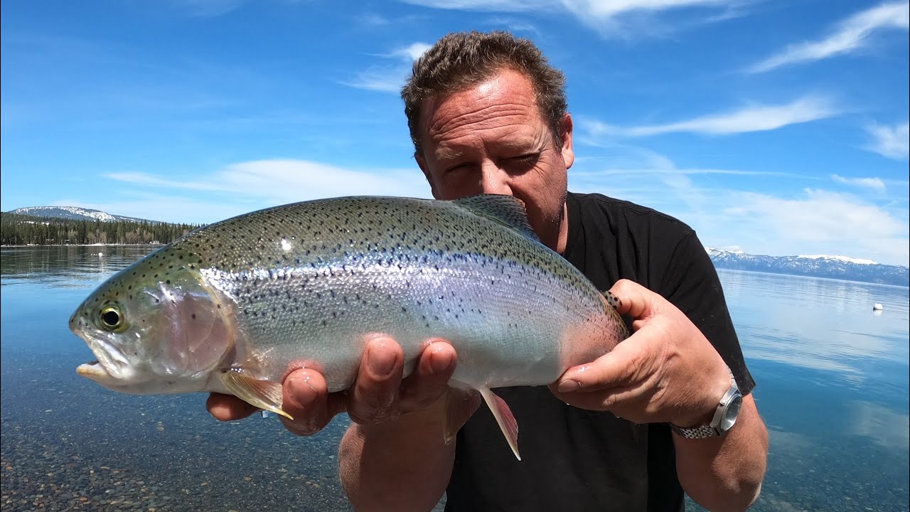 Rainbow Trout Fishing At Lake Tahoe From Shore - YouTube