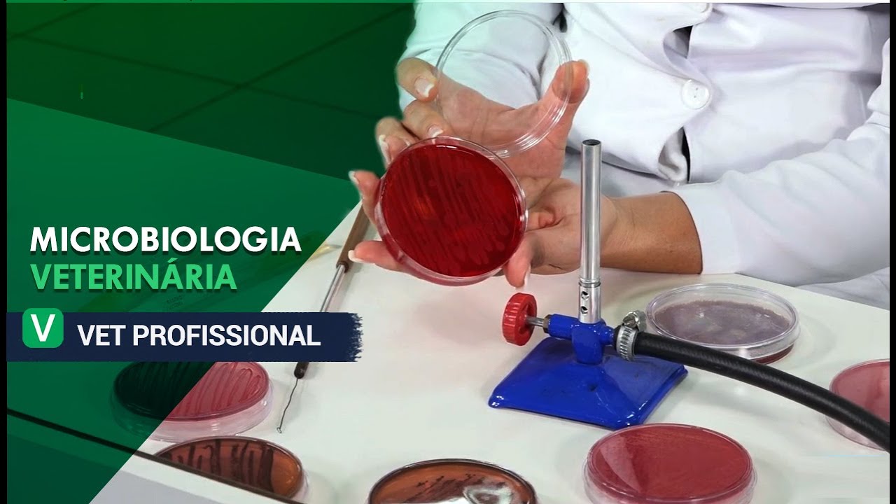 Microbiologia Veterinária I VET Profissional - YouTube