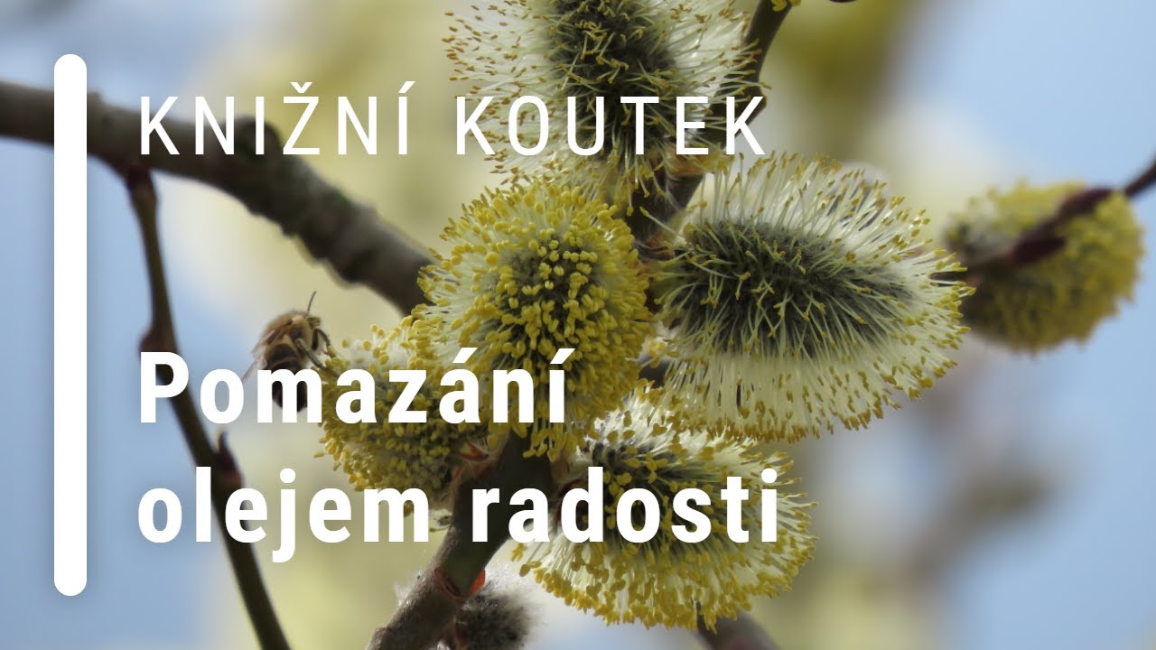 📖: Pomazání olejem radosti - YouTube