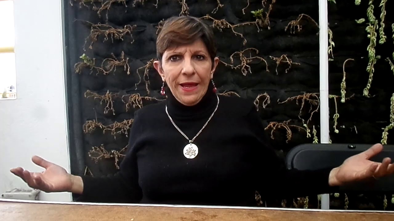 entrevista Rosa María María Cabreraa Loffte - YouTube