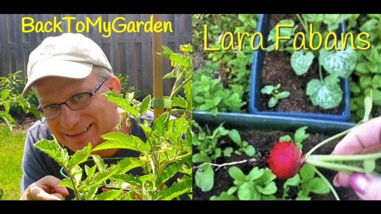 BTMG 050- The Suburban Vegetable Gardener with Lara Fabans - YouTube