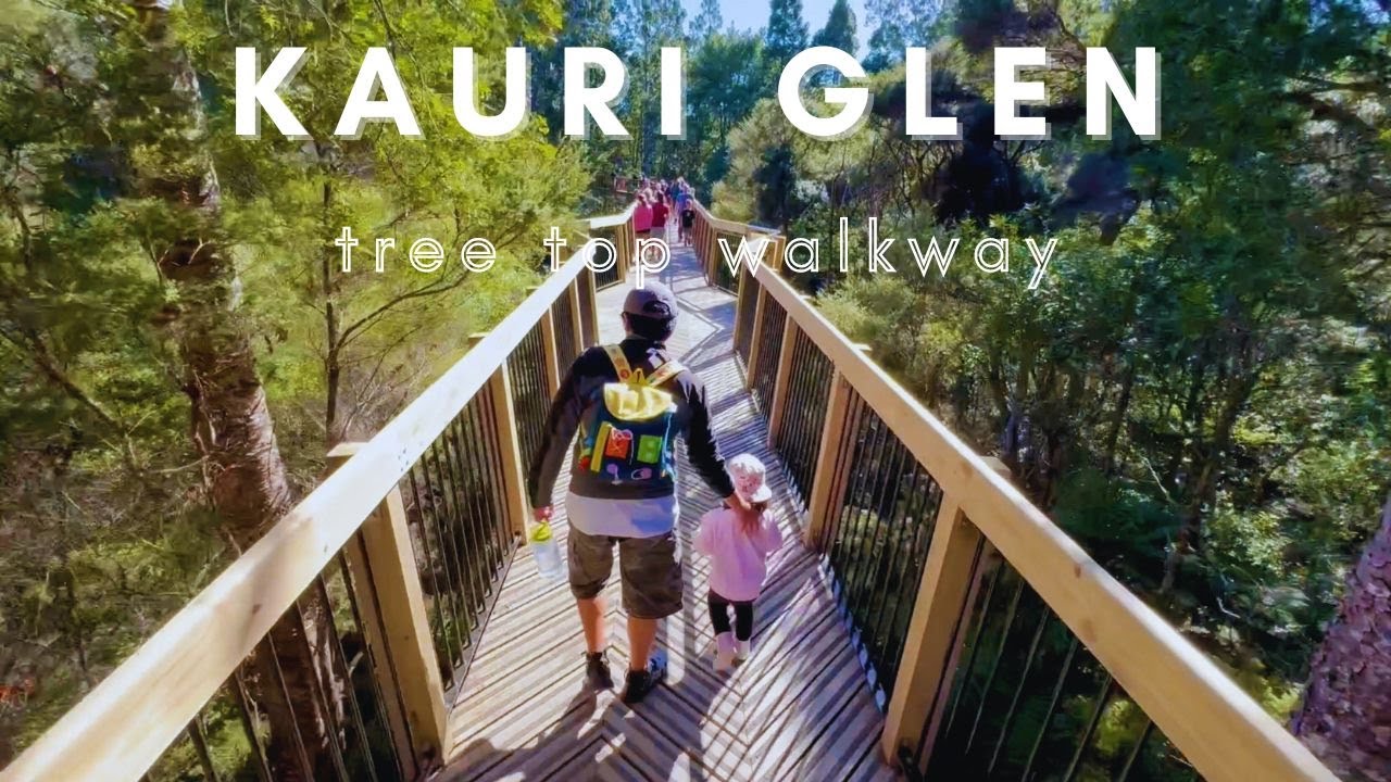 Grand Opening of Kauri Glen Reserve Treetop Walkway & Fun at Kopupaka ...