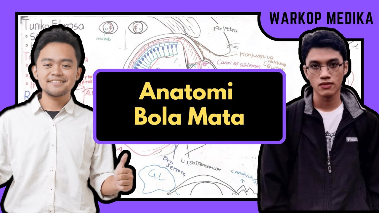 Anatomi Bola Mata | Oftalmologi - YouTube