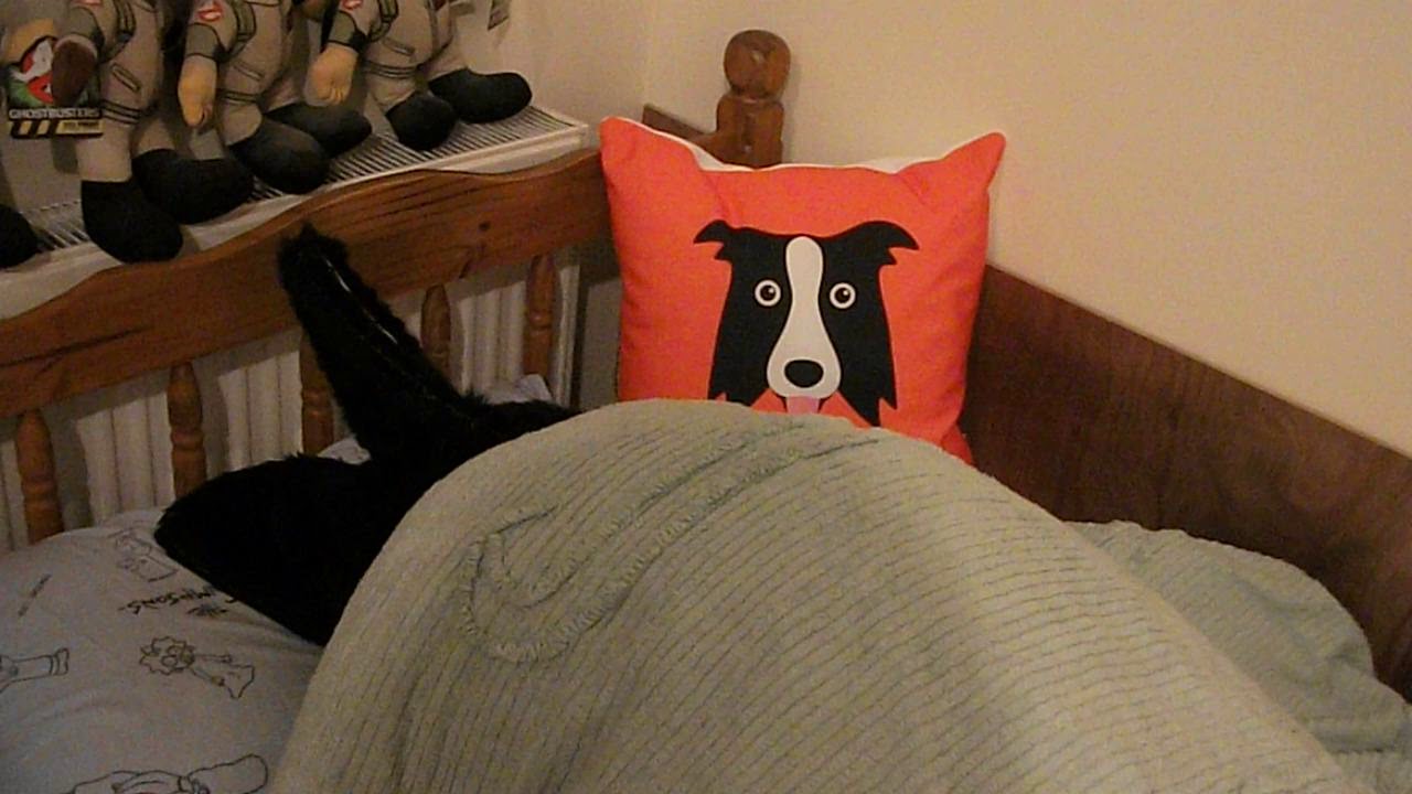 A rude wake-up. - YouTube