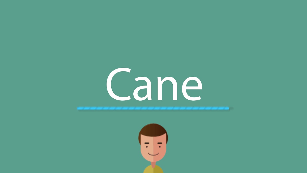 Cane pronunciation - YouTube