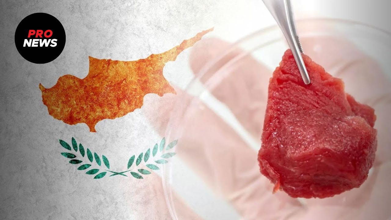 Άνοιξε στην Κύπρο η πρώτη εταιρεία παραγωγής συνθετικού κρέατος ...