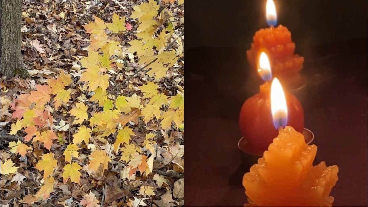 The Last Of Autumn 🍂 - YouTube