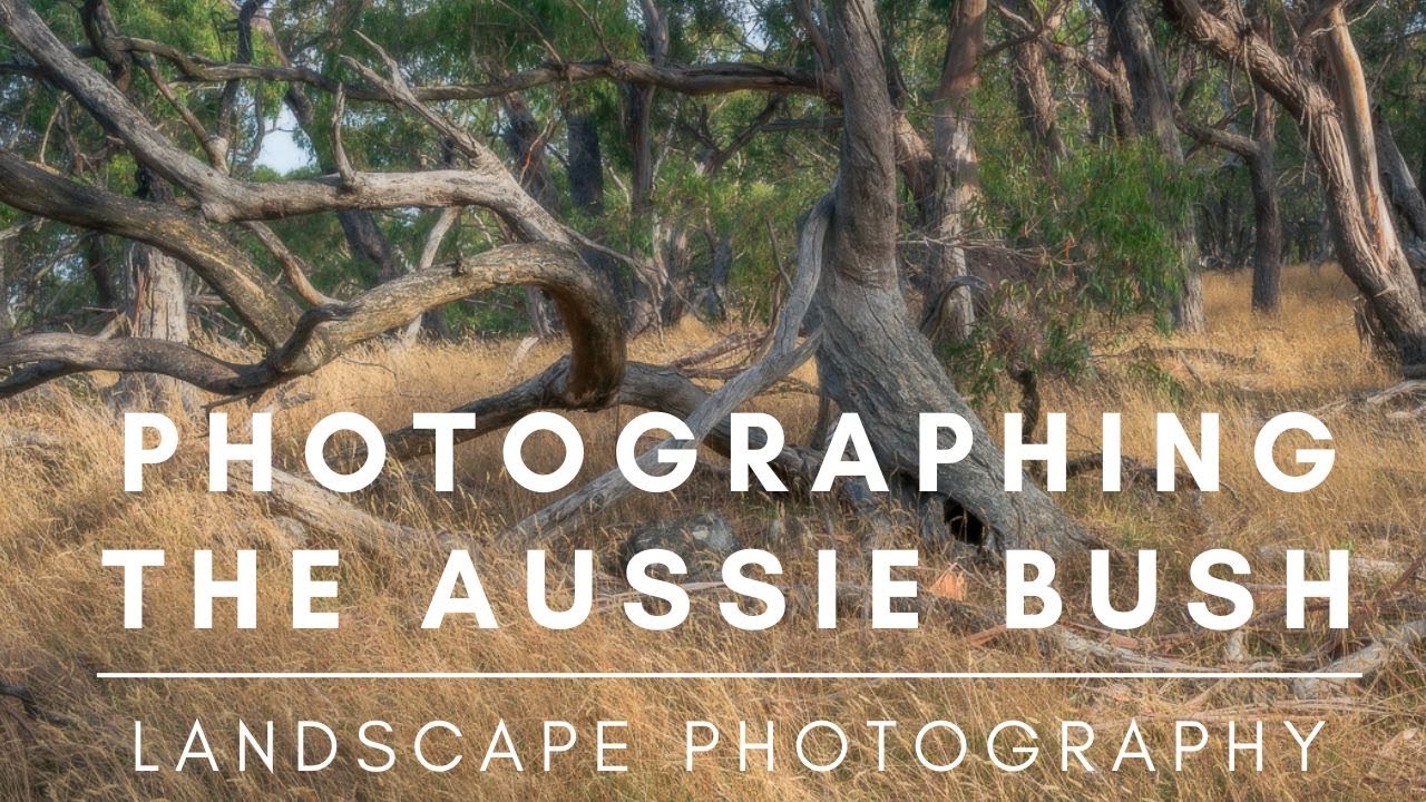 Landscape Photography | The Australian Bush. - YouTube