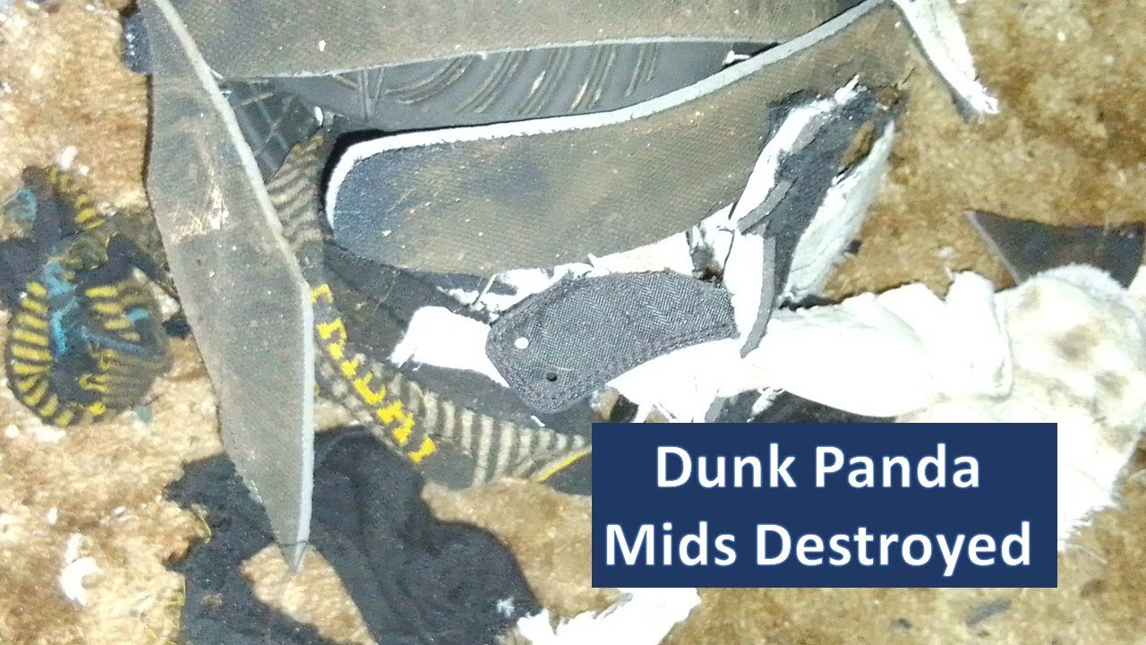 Nike Dunk Panda Mids destroyed - YouTube