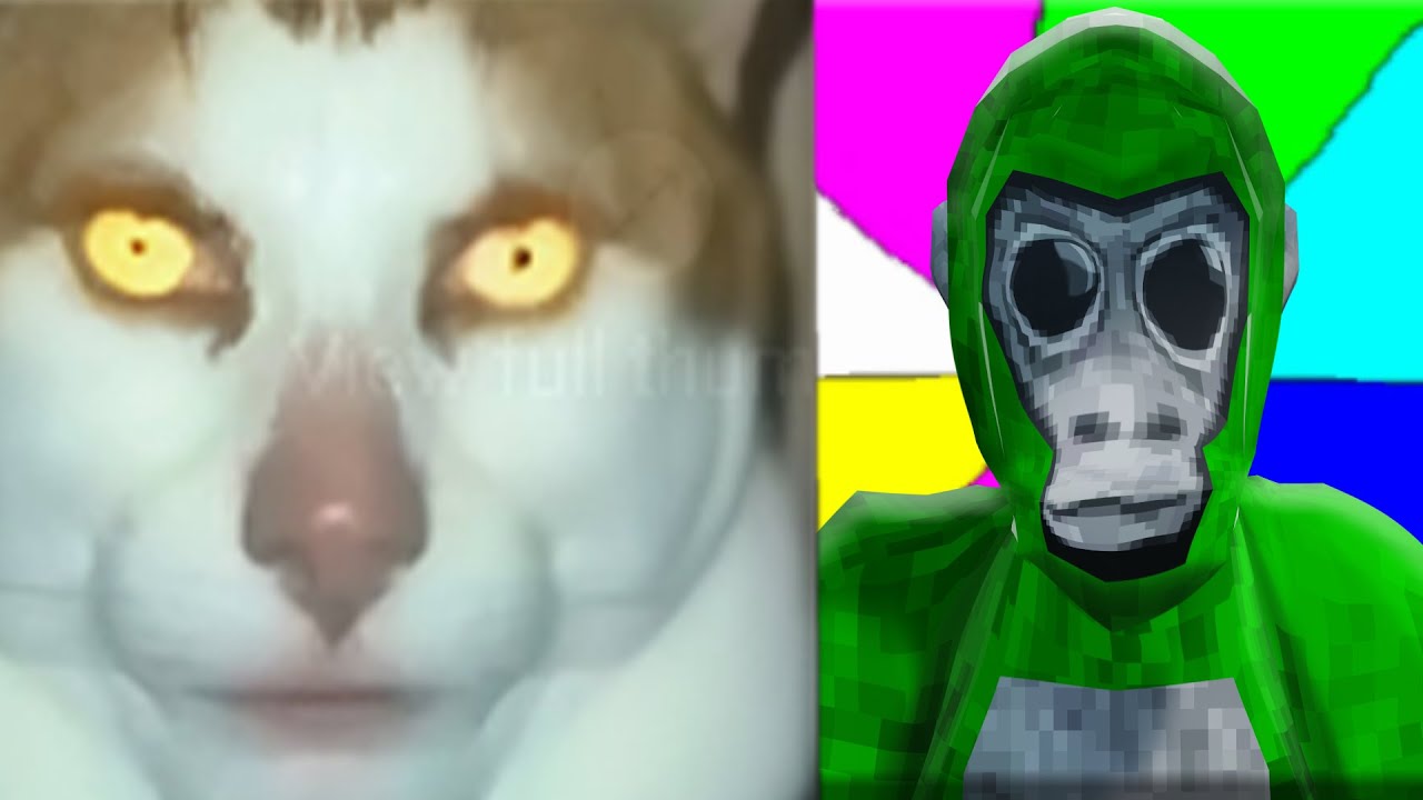 Sigma Cat Meme | Gorilla Tag VR 🎶 🐱 - YouTube