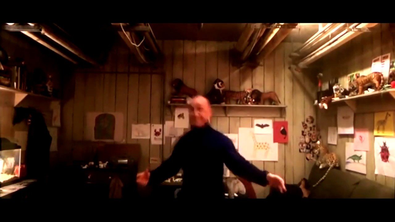 Split Scene:Hedwig Dancing - YouTube